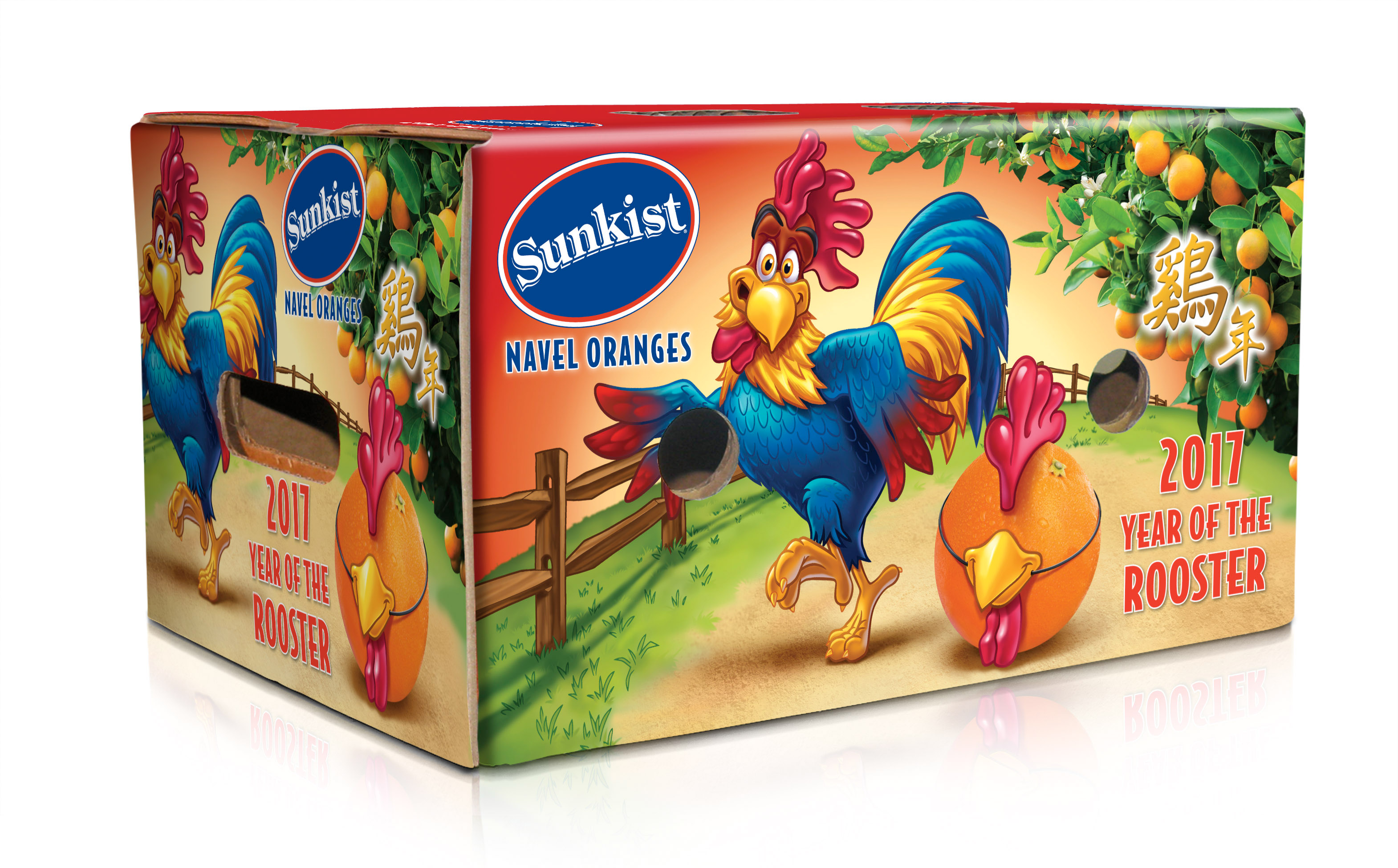 Sunkist Chinese New Year’s gift carton | ETV Spots